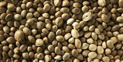 Central Testing Laboratory Ltd. | Member Directory | Life Science ...